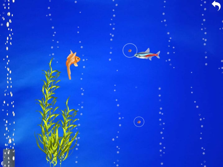 Introducing Math Shelf's Fish Tank