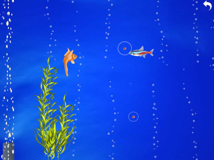 Introducing Math Shelf's Fish Tank