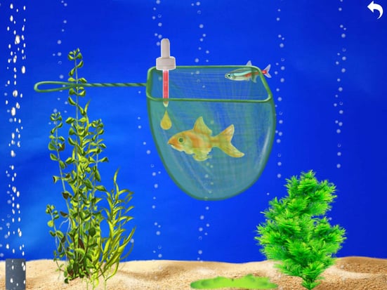 Introducing Math Shelf's Fish Tank